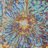 Blue Variegated Leaf — McLogan Supply